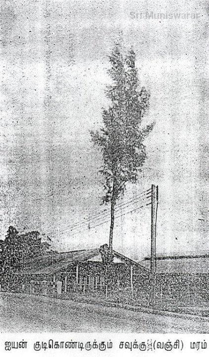 Pictures Of Sri Muniswarar Temple In The 1940's